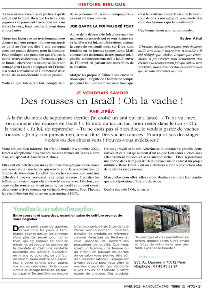 La vache rousse - Tribu 12Tribu 12